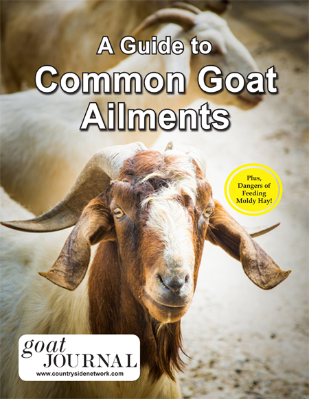 A Guide to Common Goat Ailments Flip Book - Goat Journal